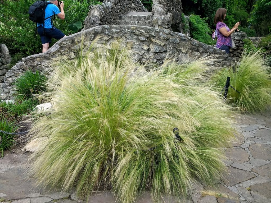 The not-quite Japanese Tea Garden in San Antonio – Wandering Lady